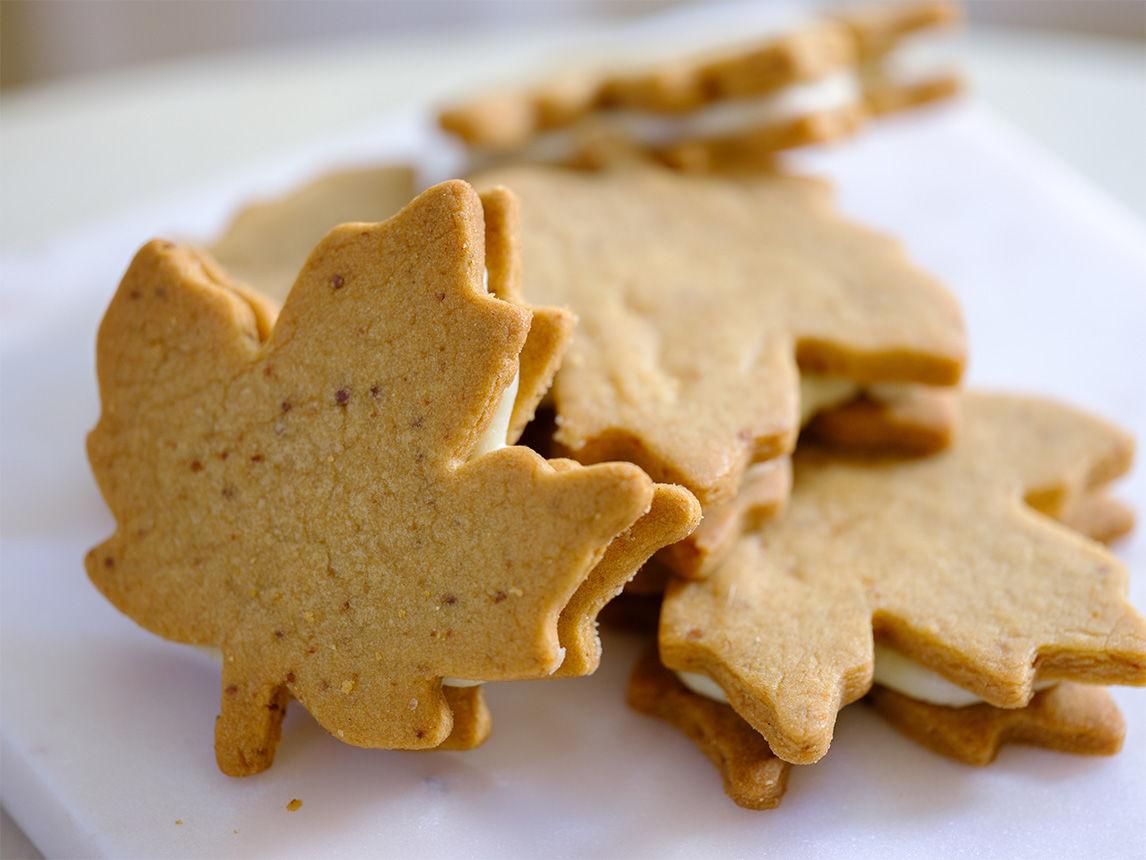 Maple Leaf Cookie Cutter | The Cookie Cutter Shop