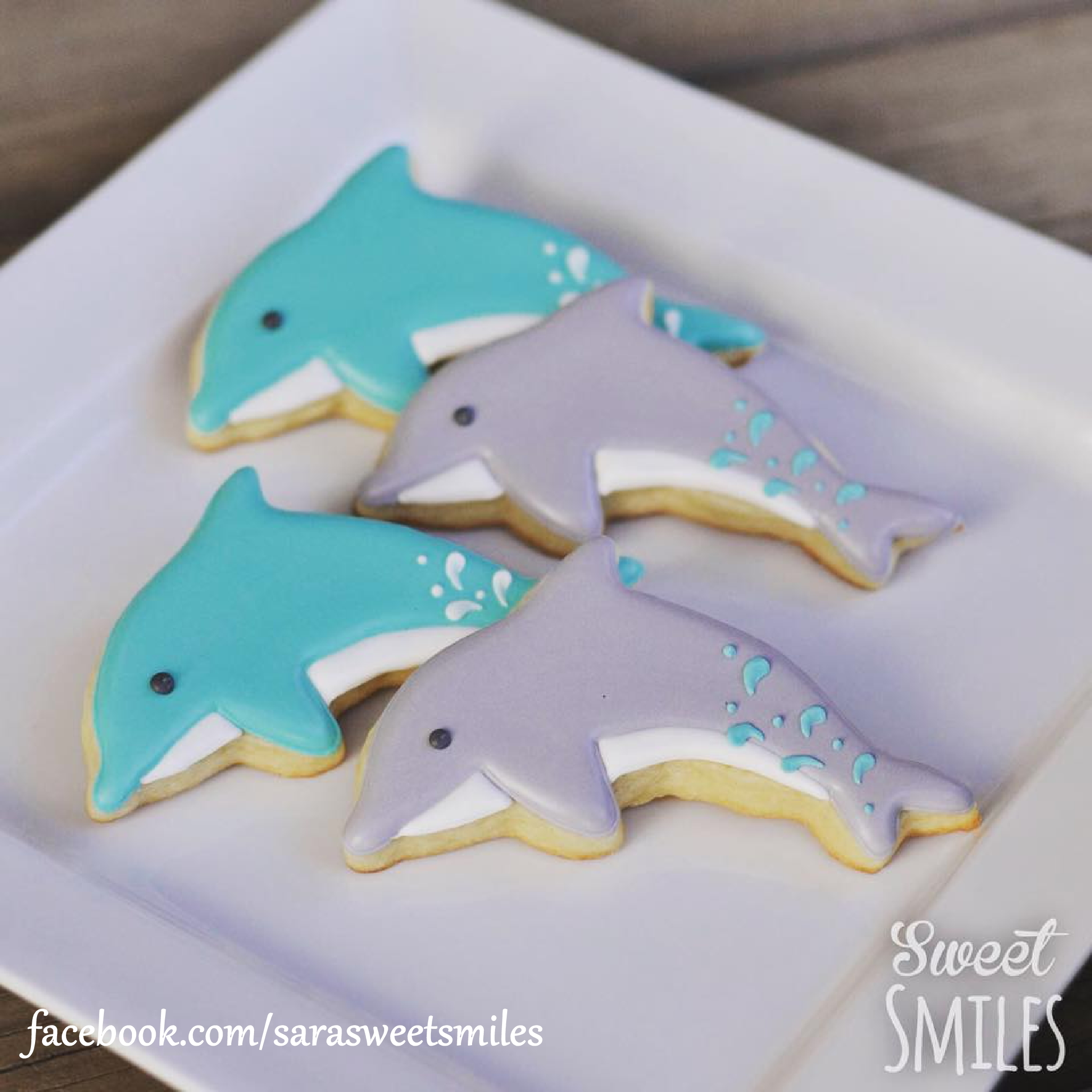 Mini Dolphin Cookie Cutter | The Cookie Cutter Shop